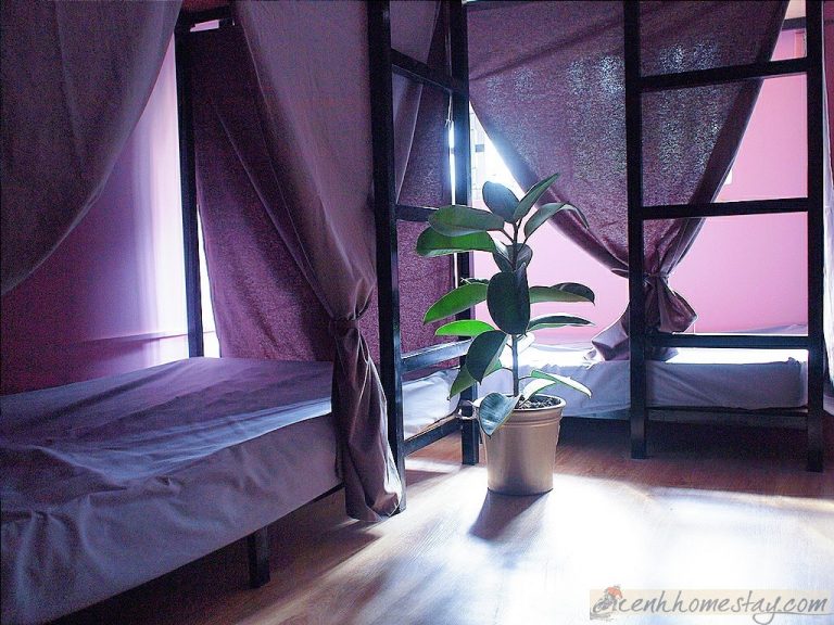 Top 73 homestay Sài Gòn TPHCM giá rẻ view đẹp ở trung tâm Tốt Nhất