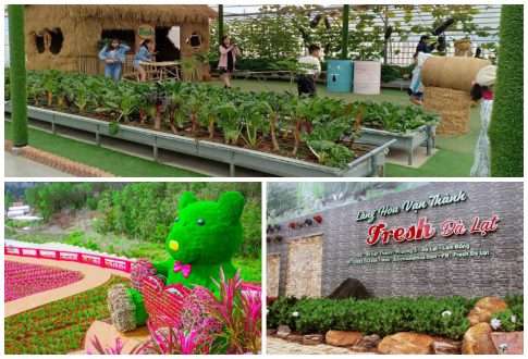 Fresh Garden: Công trình tuyệt tác về hoa cực đẹp hoàng tráng ở Đà Lạt