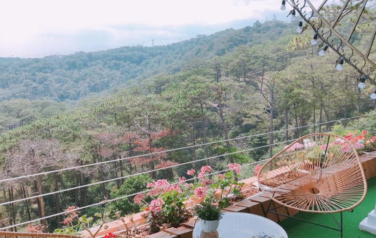 Horizon Dalat Coffee - Quán cà phê cao ngút tận chín tầng mây Đà Lạt
