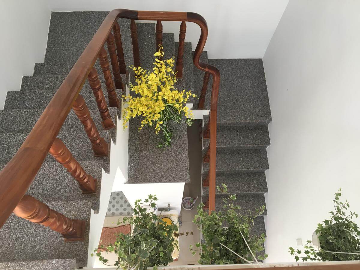 Mango Homestay Vũng Tàu: Chốn nghỉ bình dân ở trung tâm thành phố