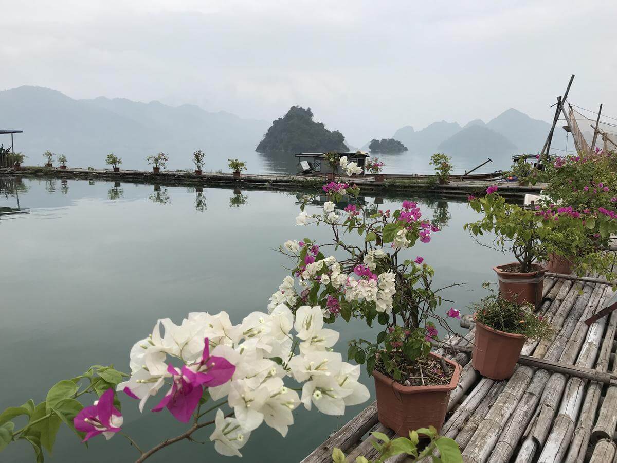 Eco Homestay - Chốn nghỉ dưỡng bình yên kết hợp trải nghiệm cực thú vị