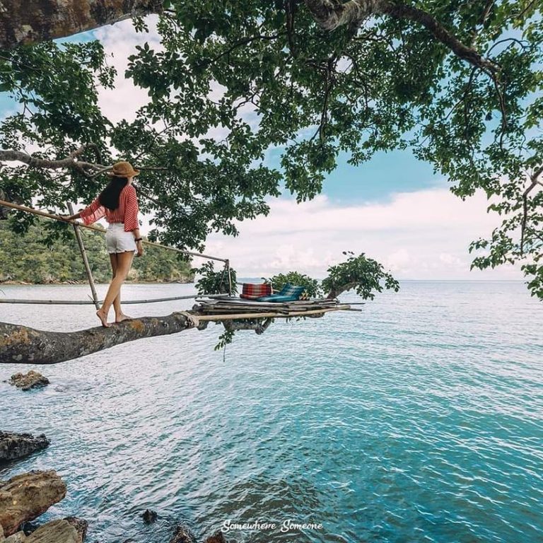 Tew Lay Bar - Quán bar trên cây giữa biển có thế siêu độc đáo, siêu đẹp