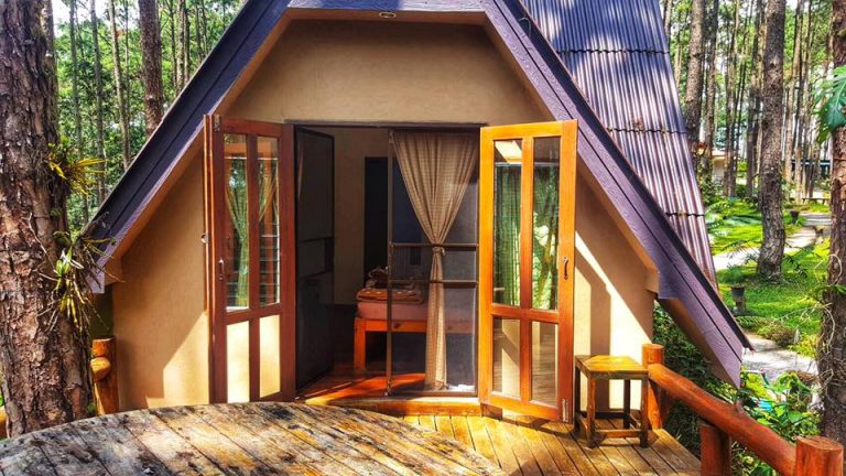 Doi Bo Luang FIO homestay: ngôi nhà gỗ giữa rừng thông Chiang Mai