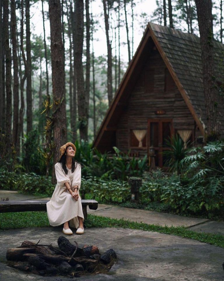 Doi Bo Luang FIO - căn nhà gỗ lọt thỏm giữa rừng thông Chiang Mai