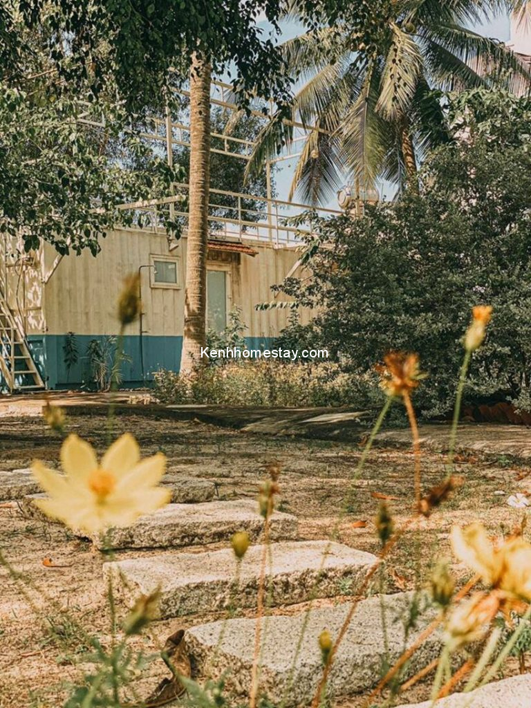 Homestay Rừng Dầu Lagi: Khu nghỉ container ven biển Bình Thuận
