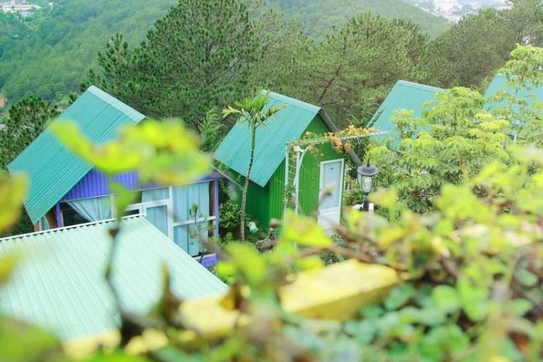 Windy Hill coffee & homestay Đà Lạt: Ngồi hòa mình với thiên nhiên