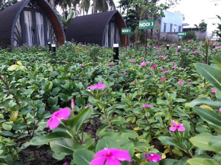 Nooi Homestay - Không gian xanh mát giữa nắng gió Phan Thiết