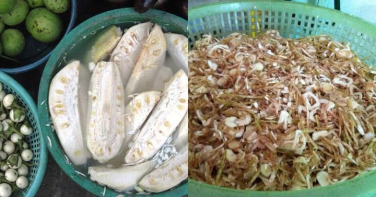 Nhút Thanh Chương - Món ăn dân dã của xứ Nghệ
